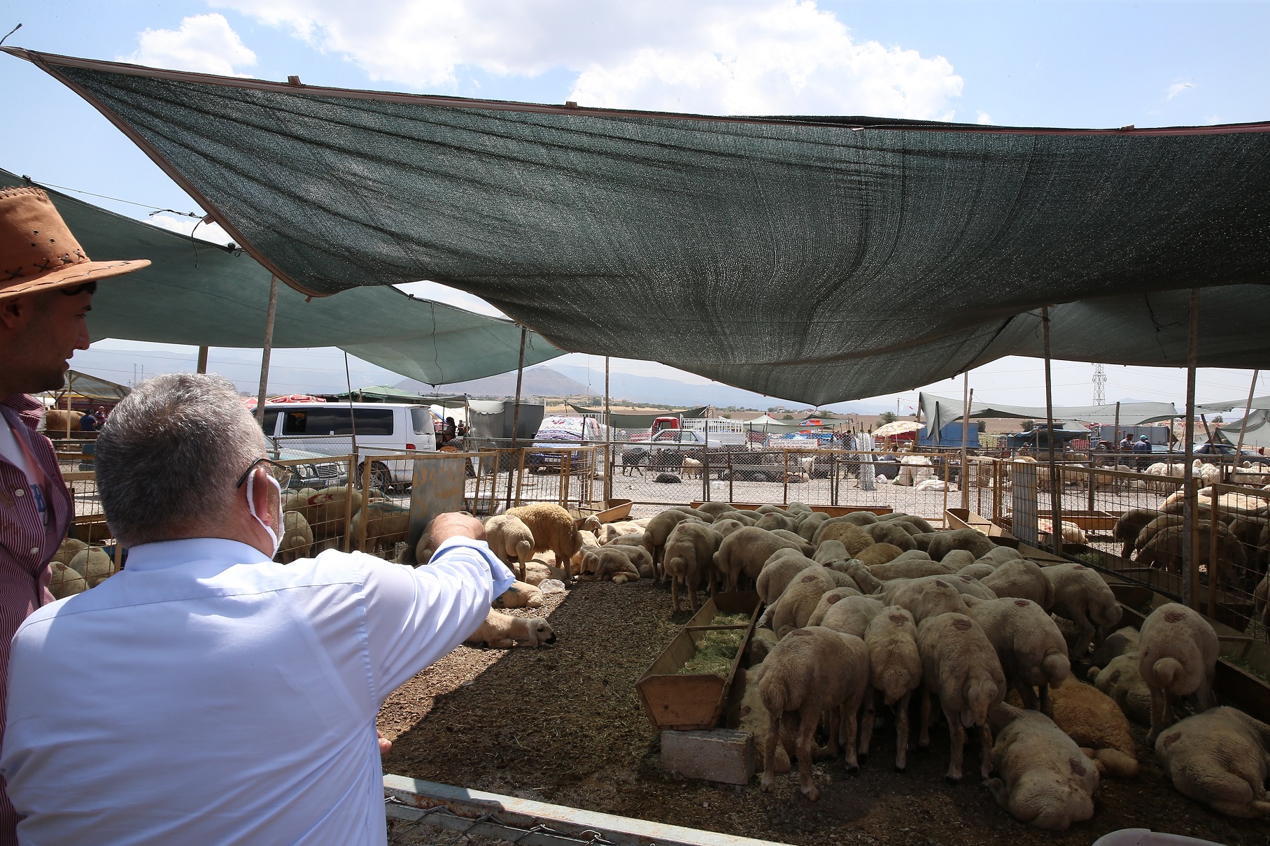 Büyükşehir Kurban Satış ve Kesim Yerlerinde Tüm Tedbirleri Aldı ... Büyükşehir Kurban Satış ve Kesim Yerlerinde Tüm Tedbirleri Aldı ...